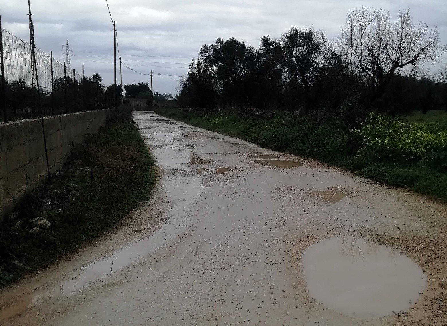 "Strada comunale tre masserie", sarà l'Amministrazione Vergine a ...